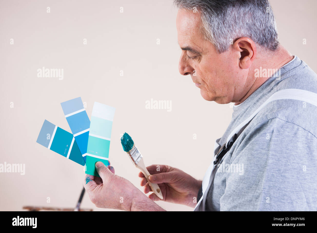 Senior Man looking at Paint Colour Samples, Studio Shot Stock Photo - Alamy