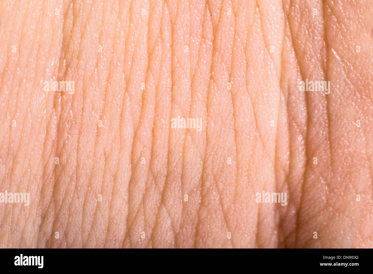 Close up human skin. Macro epidermis texture Stock Photo - Alamy
