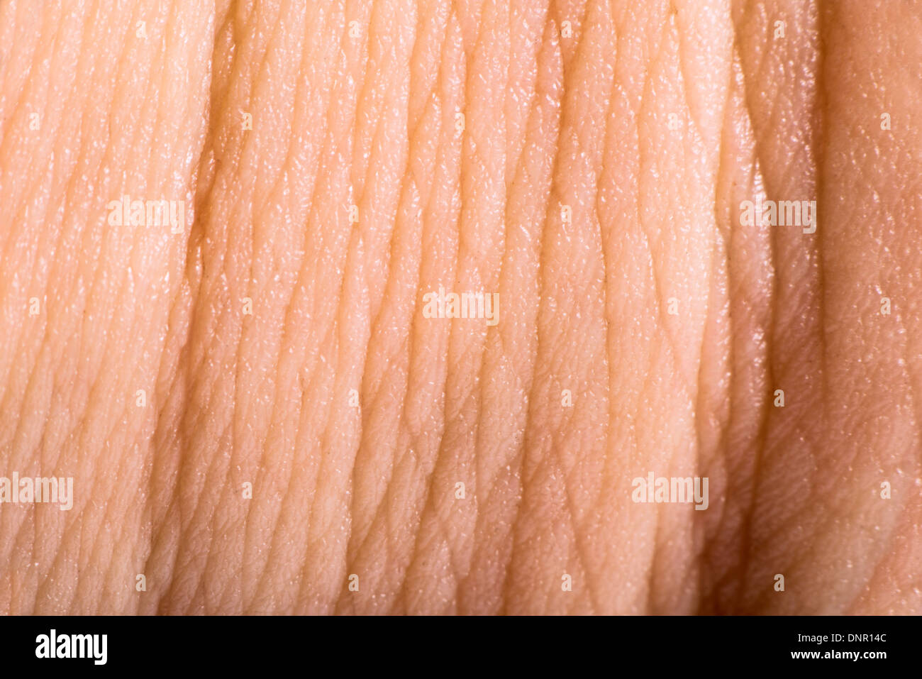 Close up human skin. Macro epidermis texture Stock Photo - Alamy