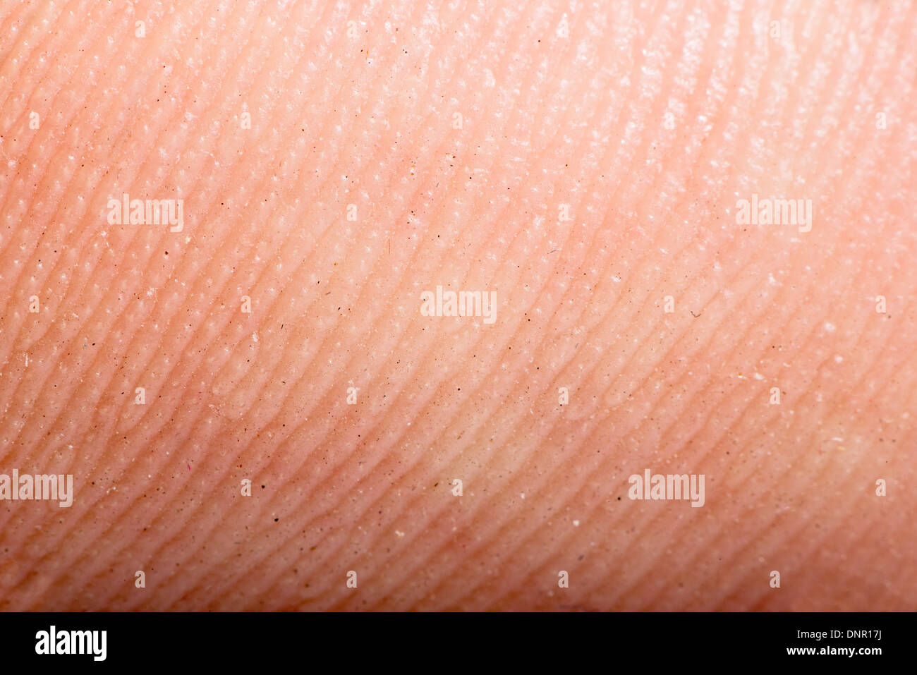 Close up human skin. Macro epidermis texture Stock Photo - Alamy