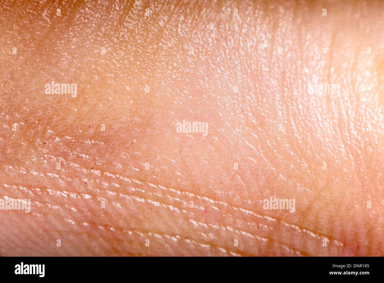 Close up human skin. Macro epidermis texture Stock Photo - Alamy