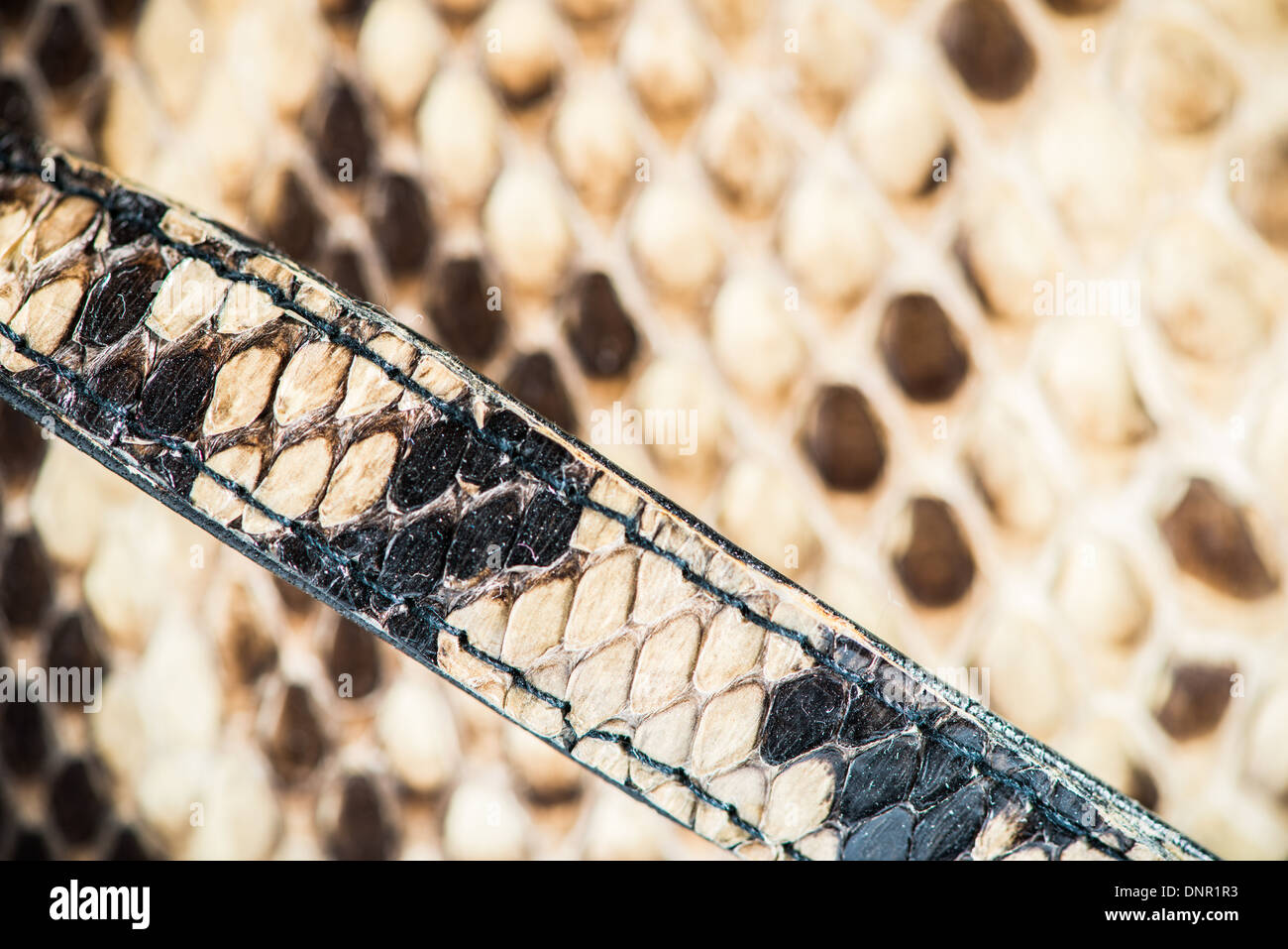 Texture of genuine snakeskin. Close up real leather texture Stock Photo ...