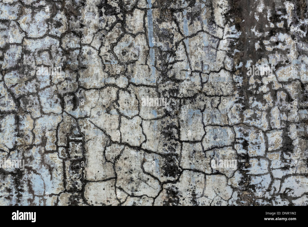 India, Rajasthan, Jaipur, paint, drip, plaster wall Stock Photo - Alamy