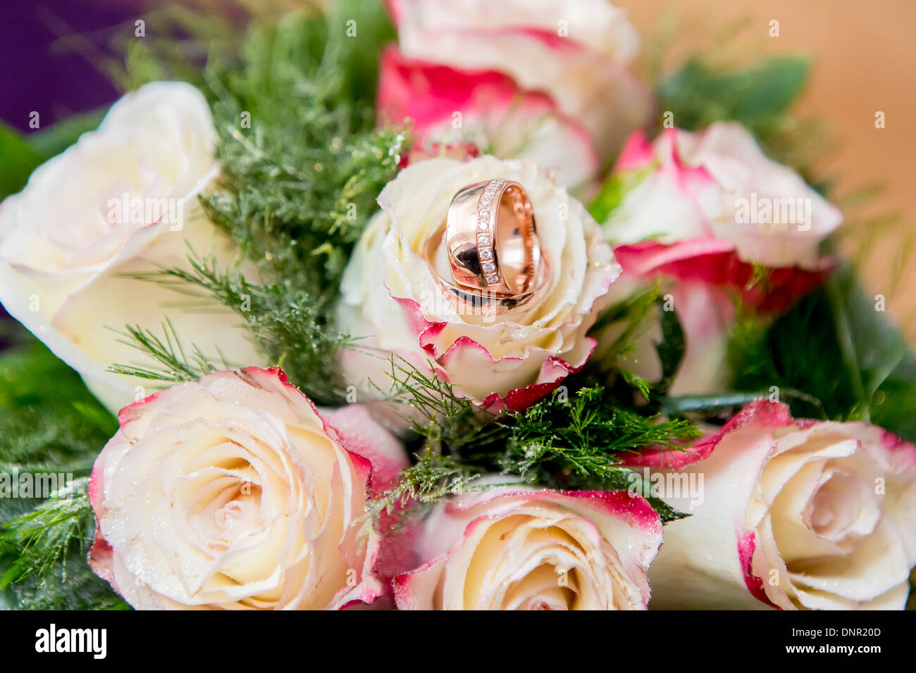 White rose with rings hi-res stock photography and images - Alamy