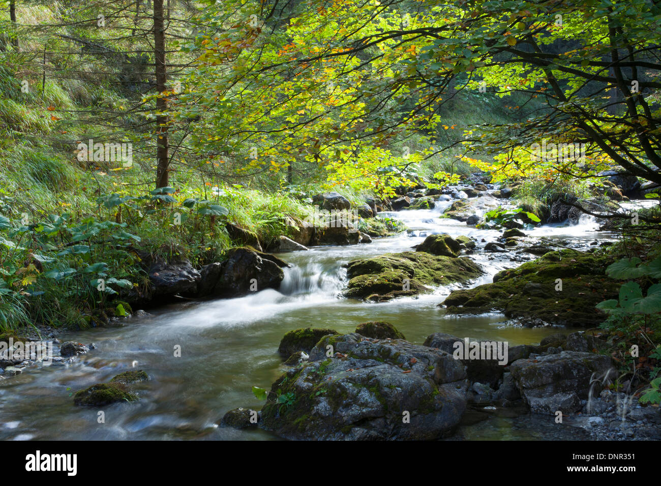 Stream in landscape hi-res stock photography and images - Alamy