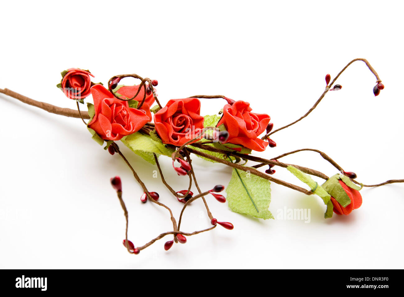 Branch roses flowers decoration Cut Out Stock Images & Pictures - Alamy
