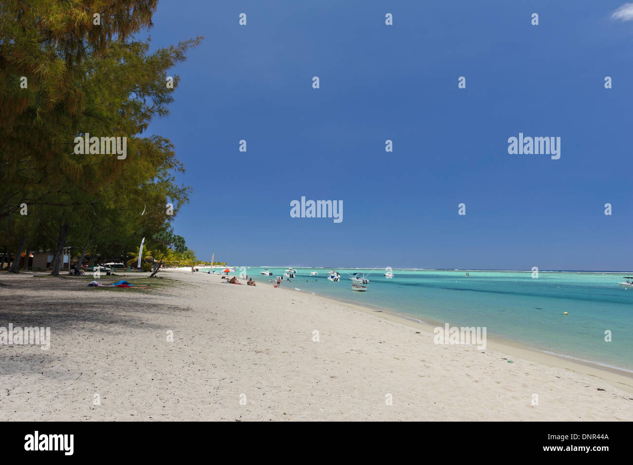 Tropical sandy beach mauritius hi-res stock photography and images - Alamy