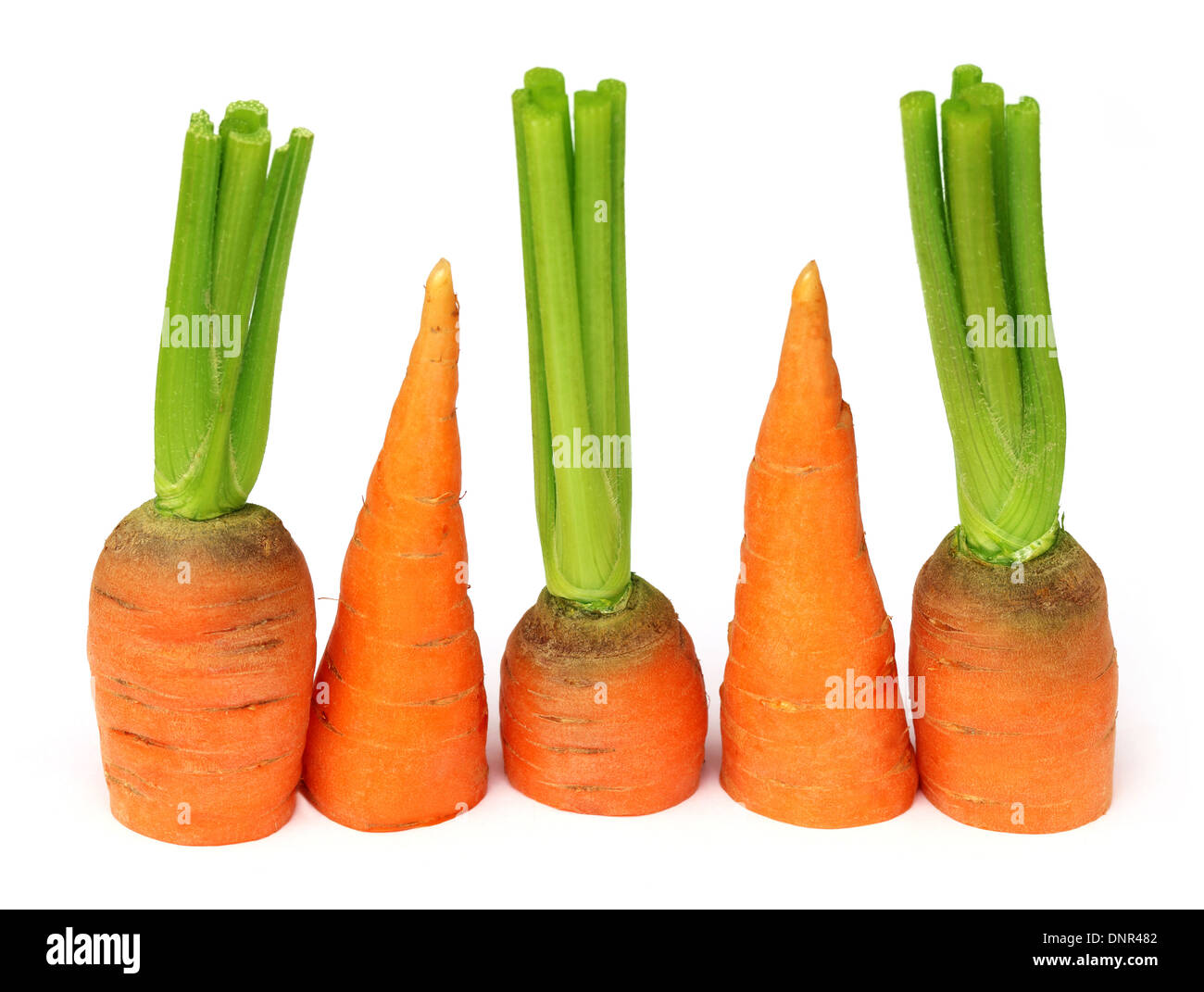 Close up image of fresh carrots with leaves Stock Photo - Alamy