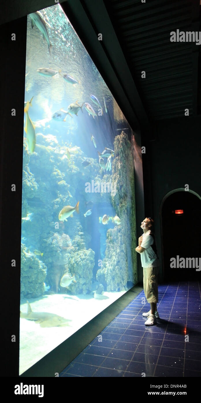 Oceanographic museum and aquarium hi-res stock photography and images ...