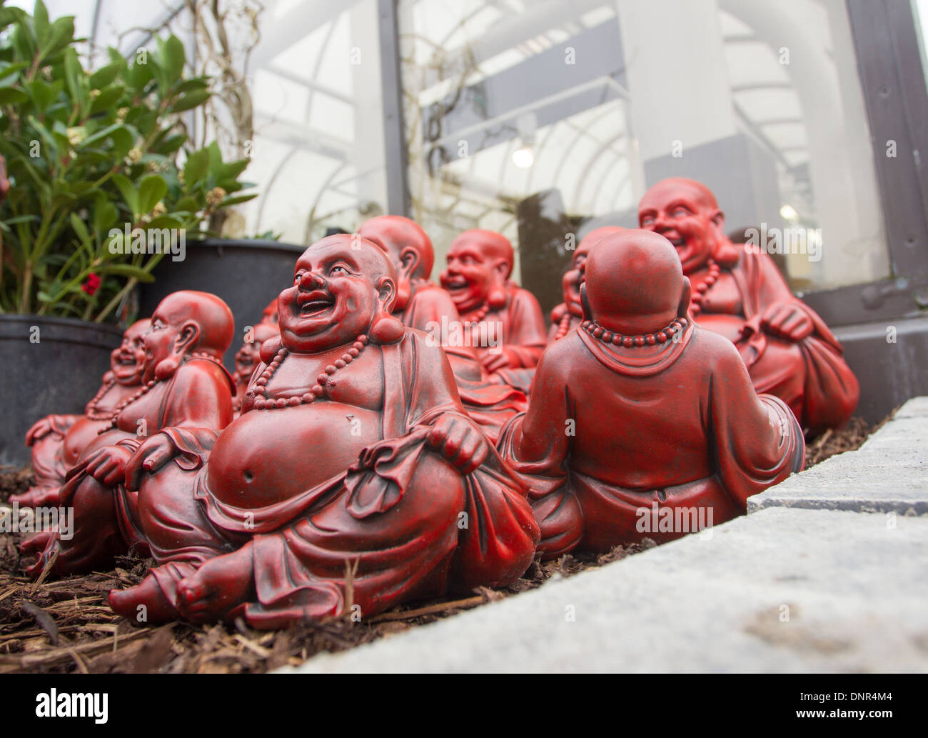 Buddha statues in red hi-res stock photography and images - Alamy