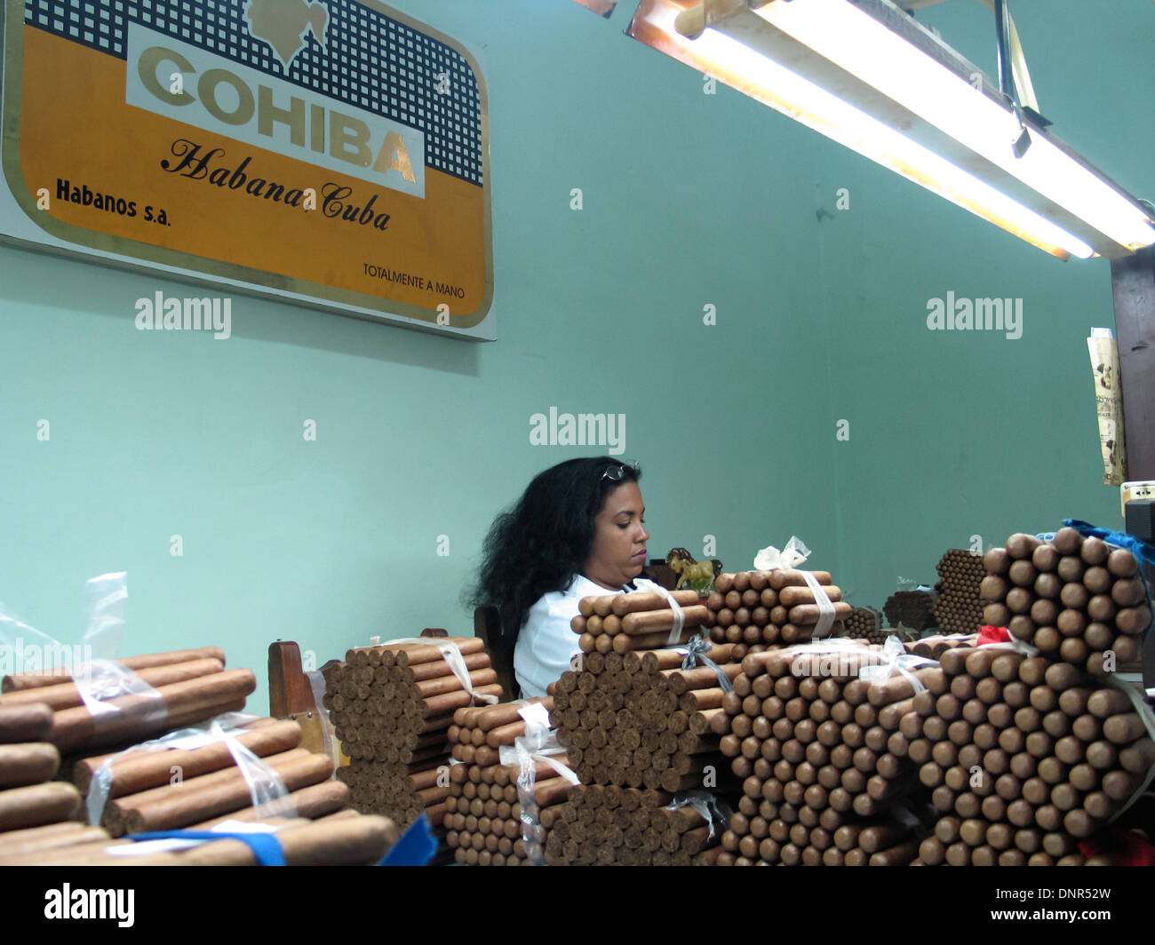 Checking cigars at Cohiba factory in Havana, Cuba Stock Photo - Alamy