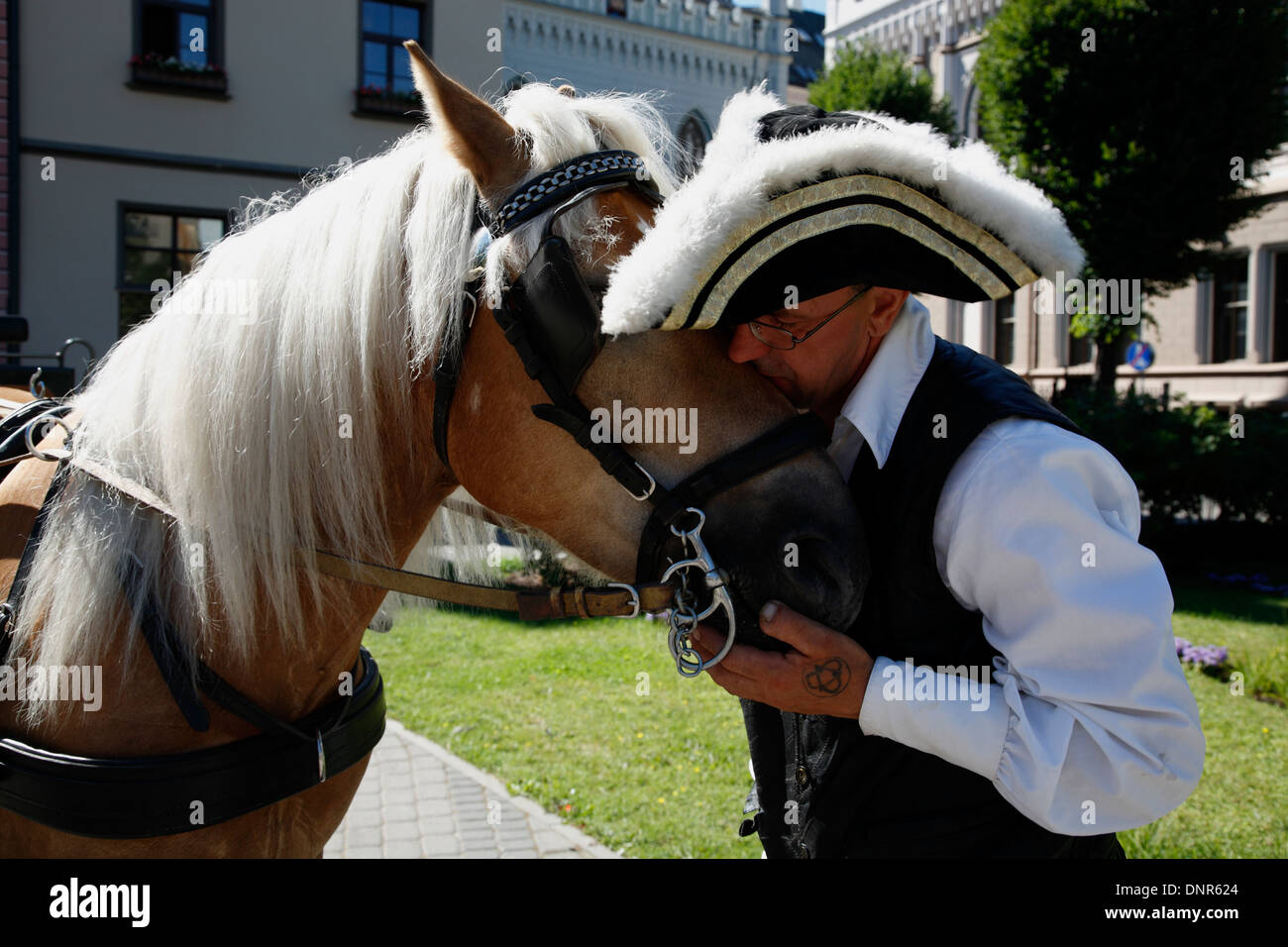 Coachman and his carriage Horse , old town, Riga, Latvia, Europe Stock ...