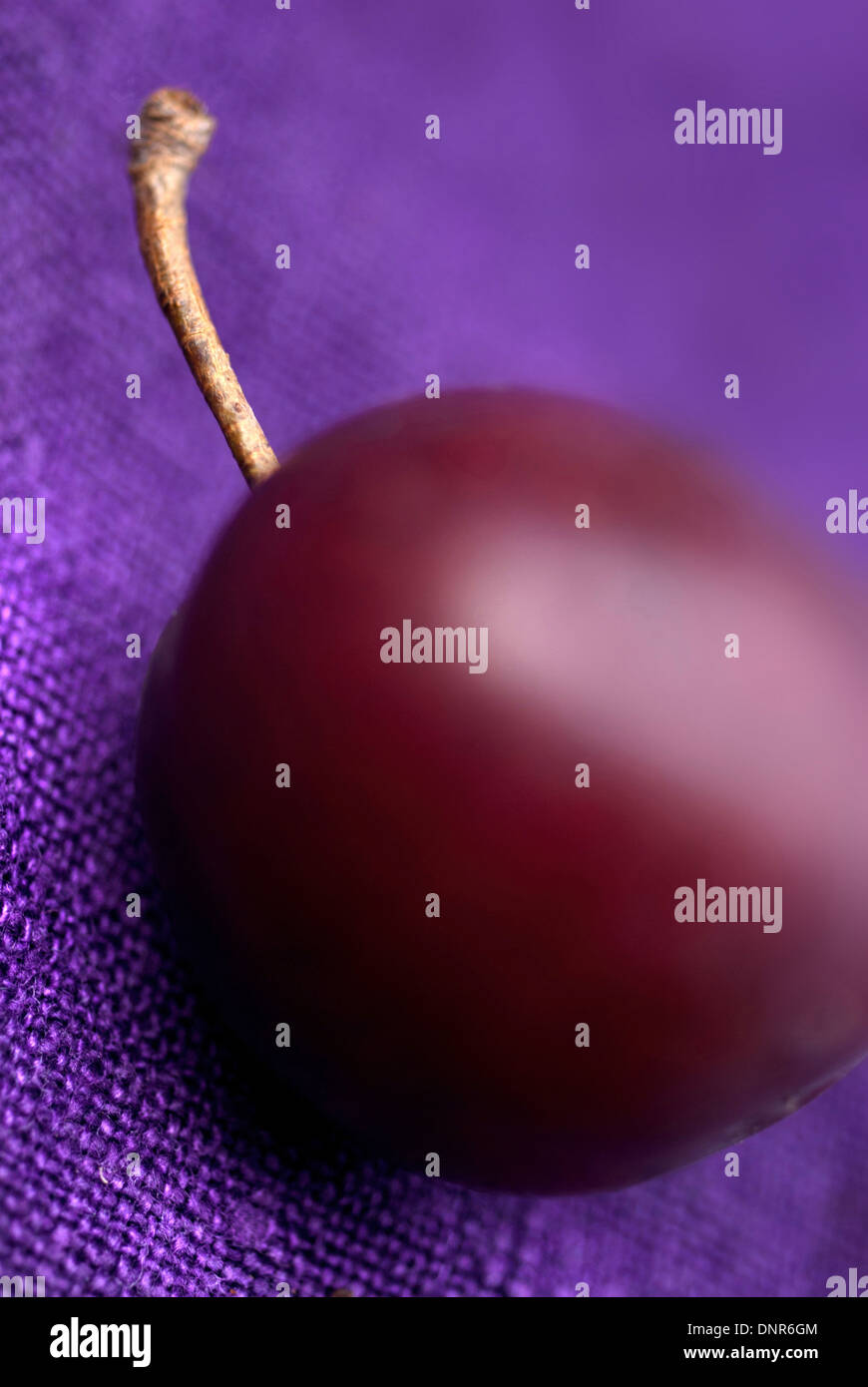 Damson colour hi-res stock photography and images - Alamy