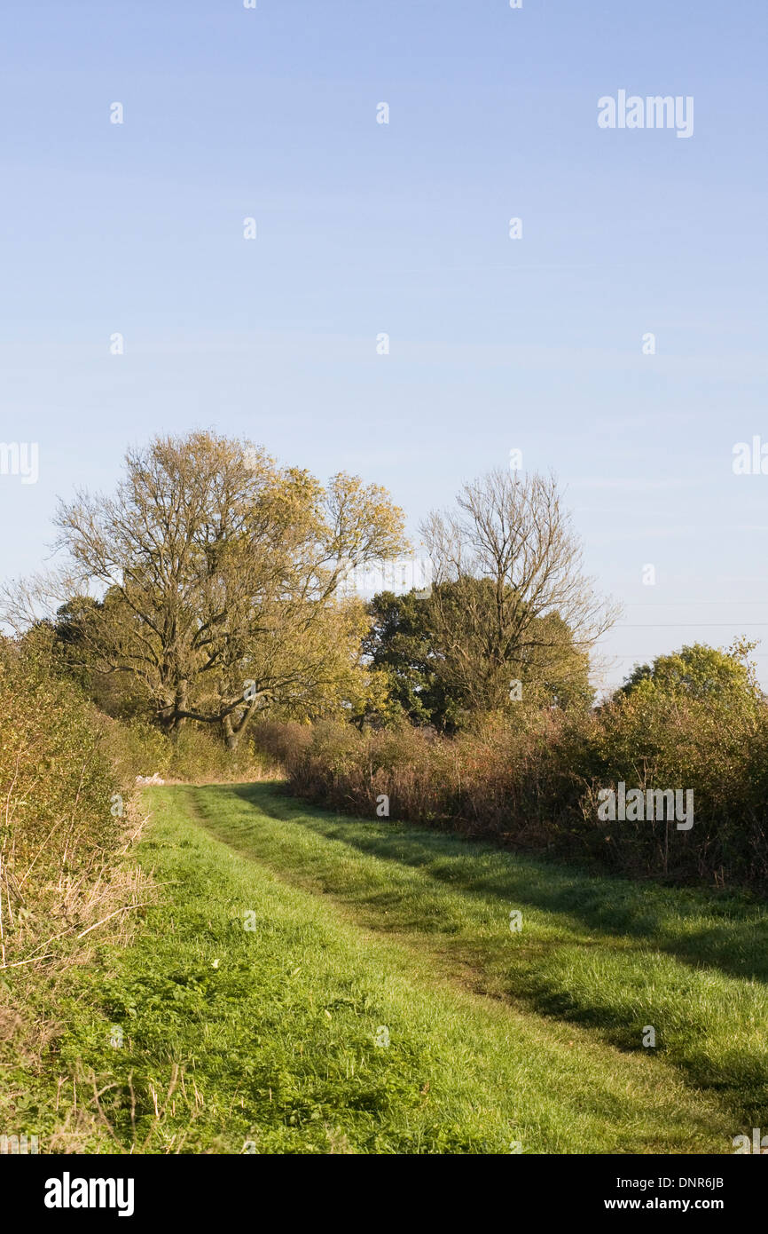 Track bridleway hi-res stock photography and images - Alamy