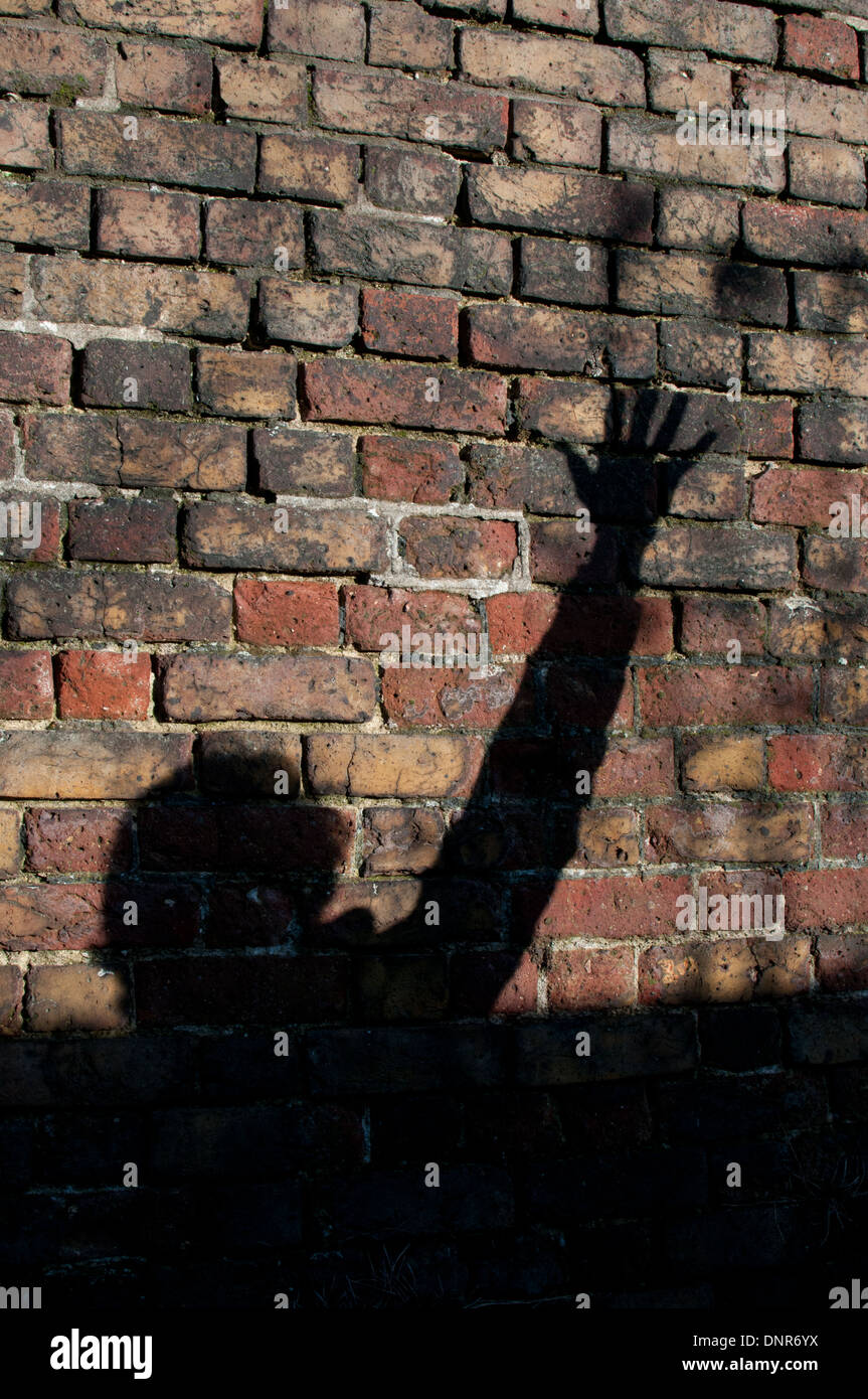 shadow of a man lifting arm Stock Photo - Alamy