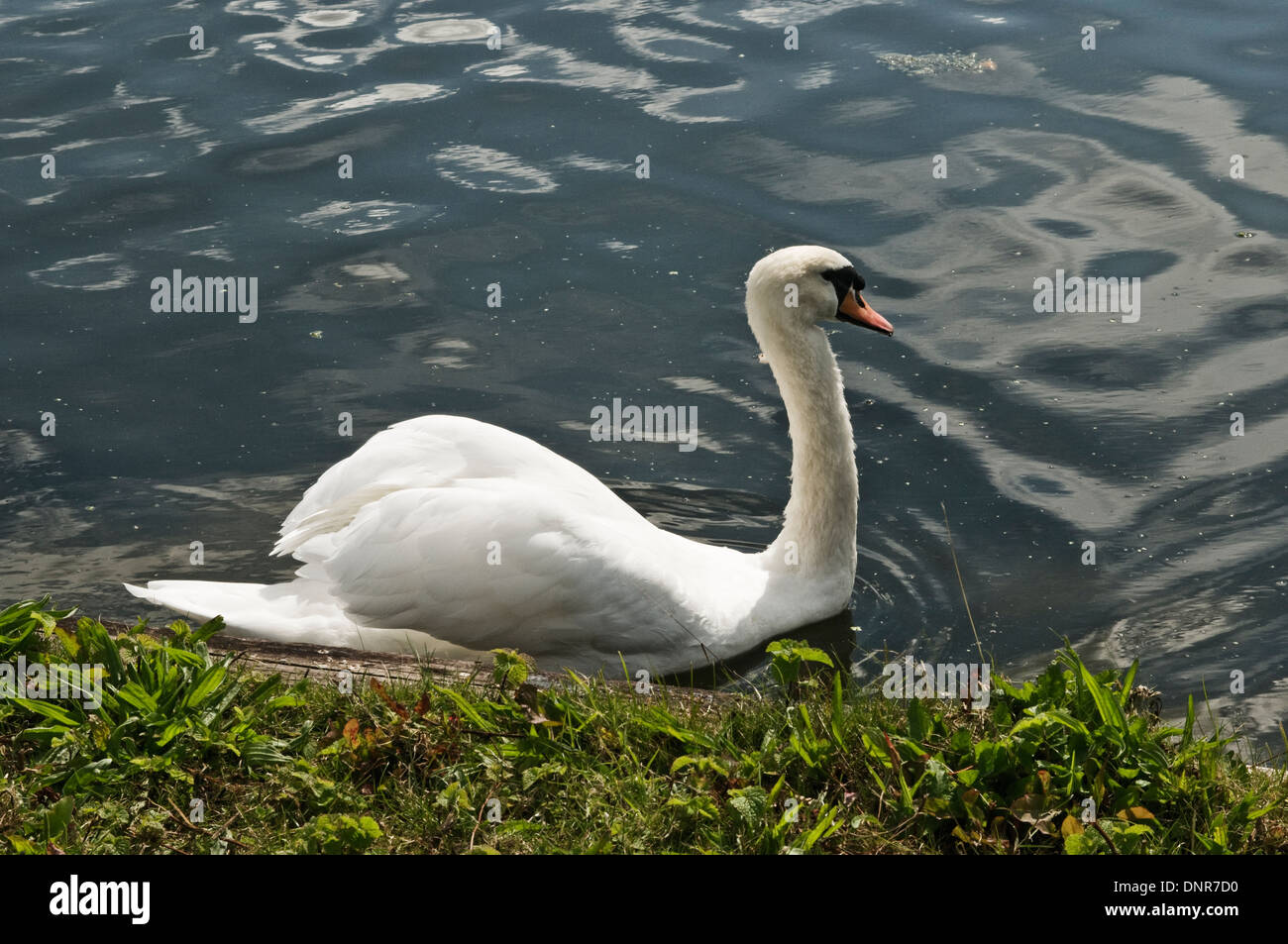 Hupper hi-res stock photography and images - Alamy
