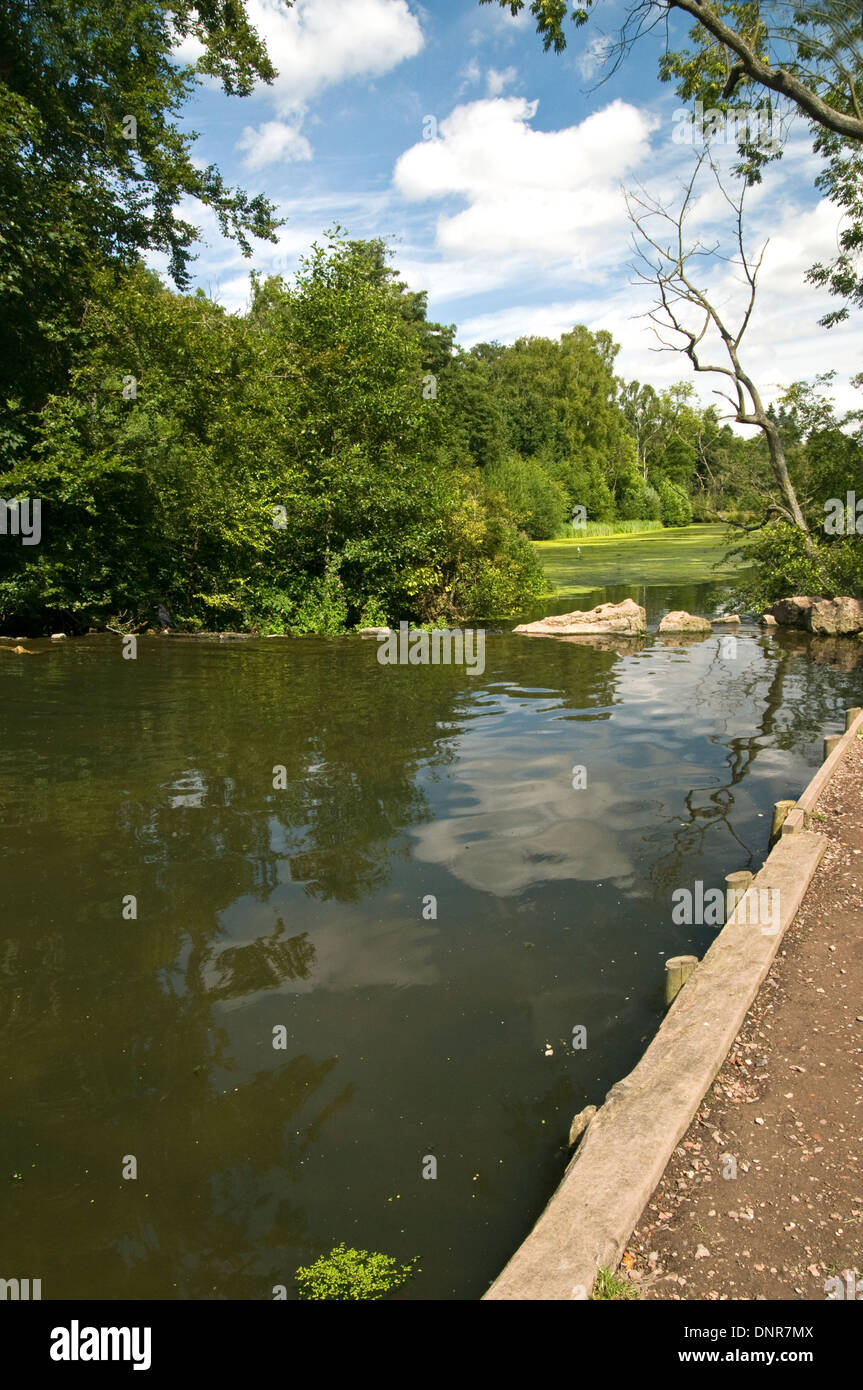 waters edge England Stock Photo - Alamy
