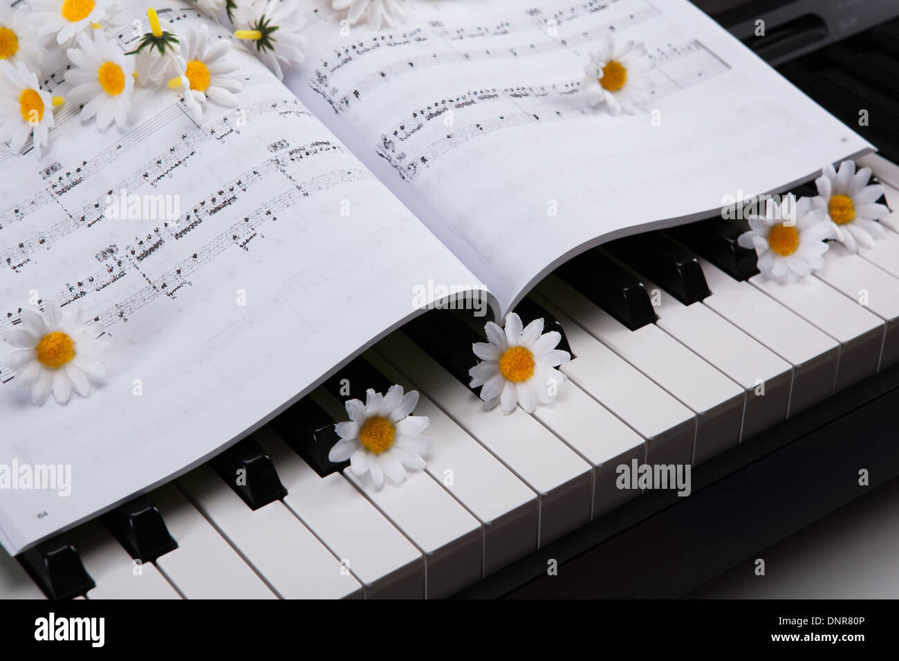 black and white keys of the piano closeup and musical book Stock Photo ...