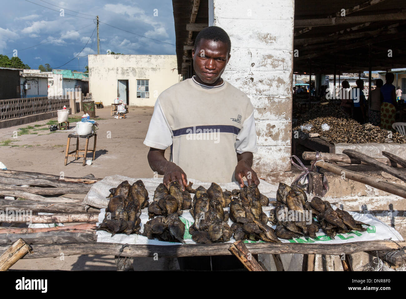 Man selling fish on the market in the town of Kalabo in western Zambia ...