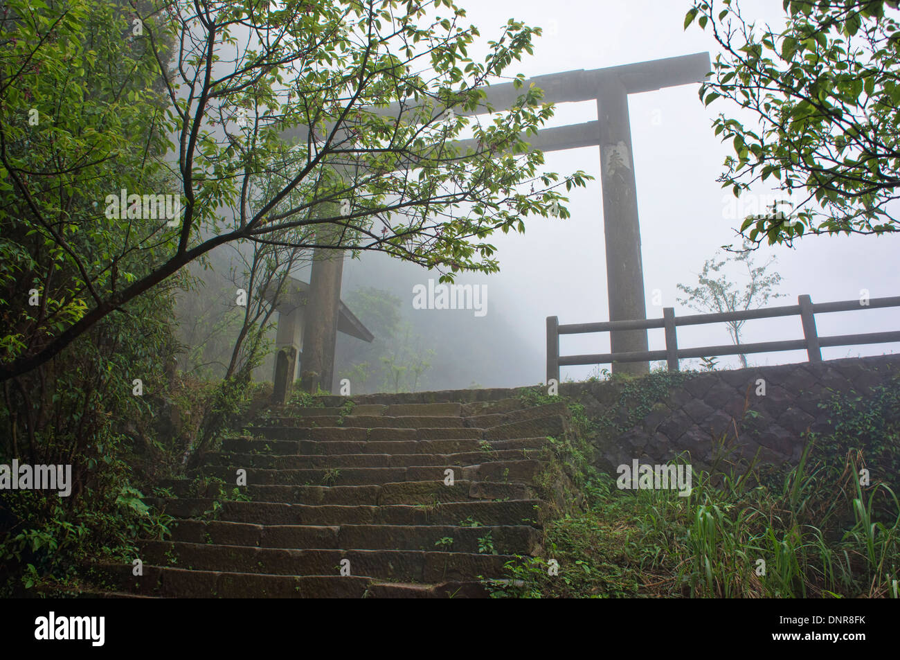 Torii gate hi-res stock photography and images - Alamy