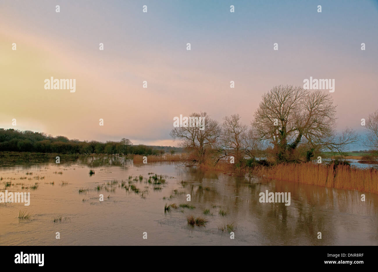 Landscape View Of Flooded Fields Surrounding Wareham Village Caused By ...