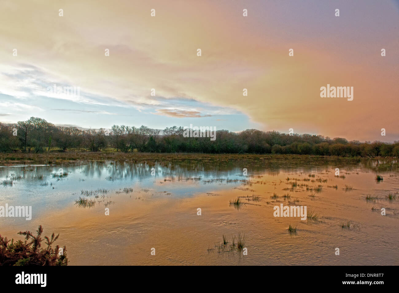 Landscape View Of Flooded Fields Surrounding Wareham Village Caused By ...
