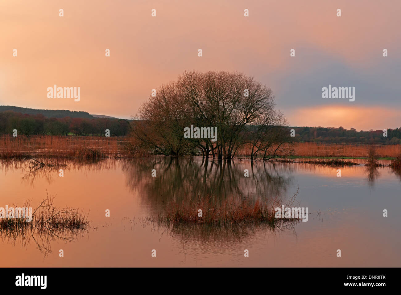 Landscape View Of Flooded Fields Surrounding Wareham Village Caused By ...