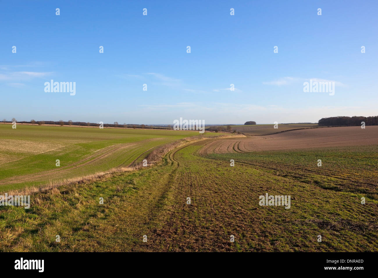 A section of the Minster way on the Yorkshire wolds, England in open ...