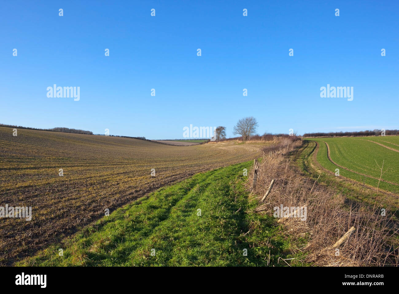 Scenic section of the minster way footpath on the Yorkshire wolds ...