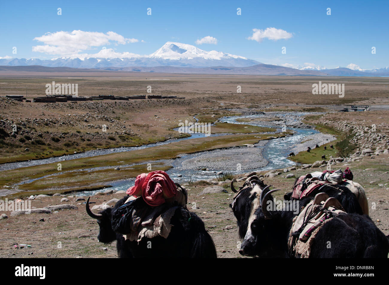 Darchen tibet hi-res stock photography and images - Alamy