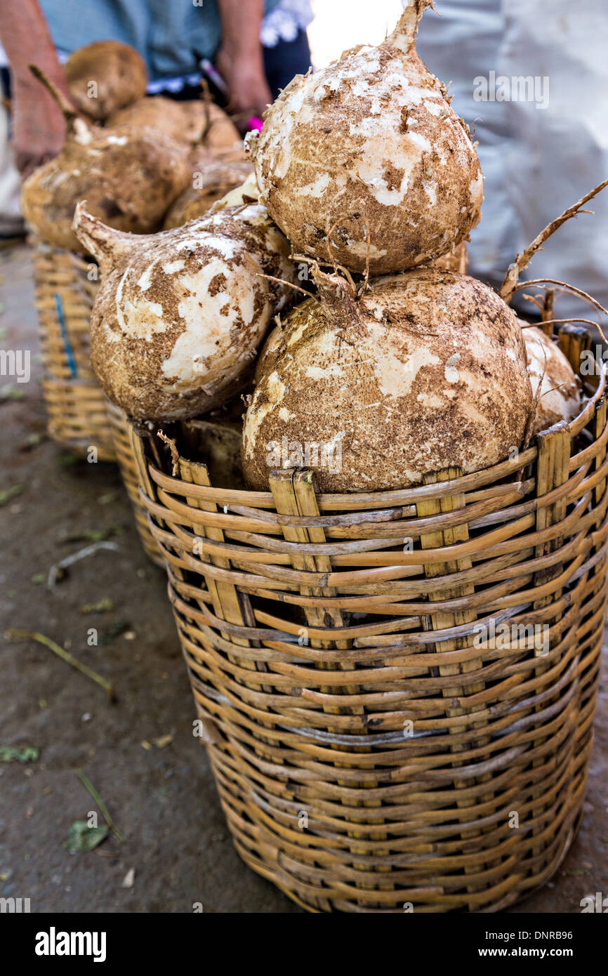 Jícama mexico hi-res stock photography and images - Alamy