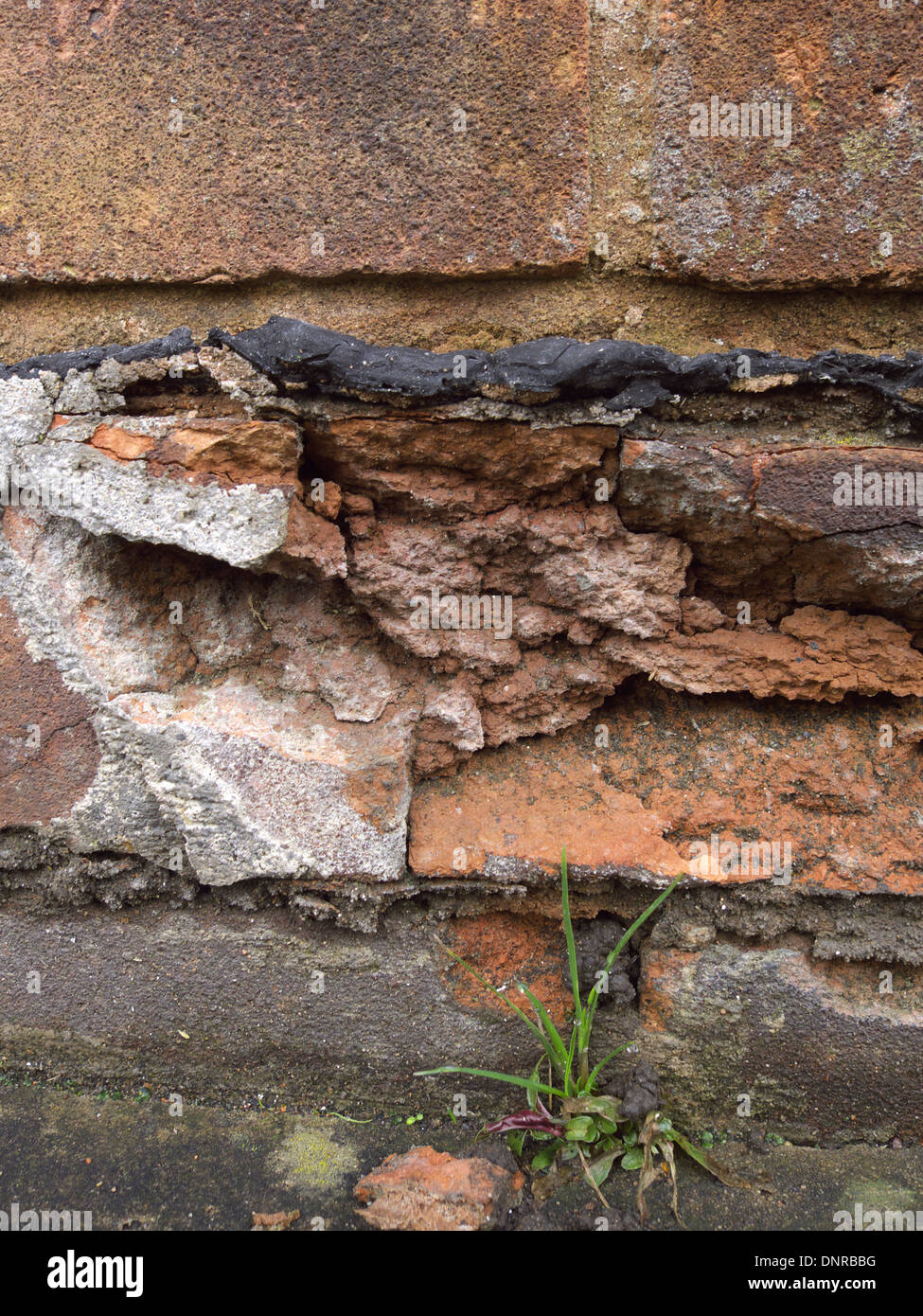 Bricks Damaged By Frost High Resolution Stock Photography and Images ...