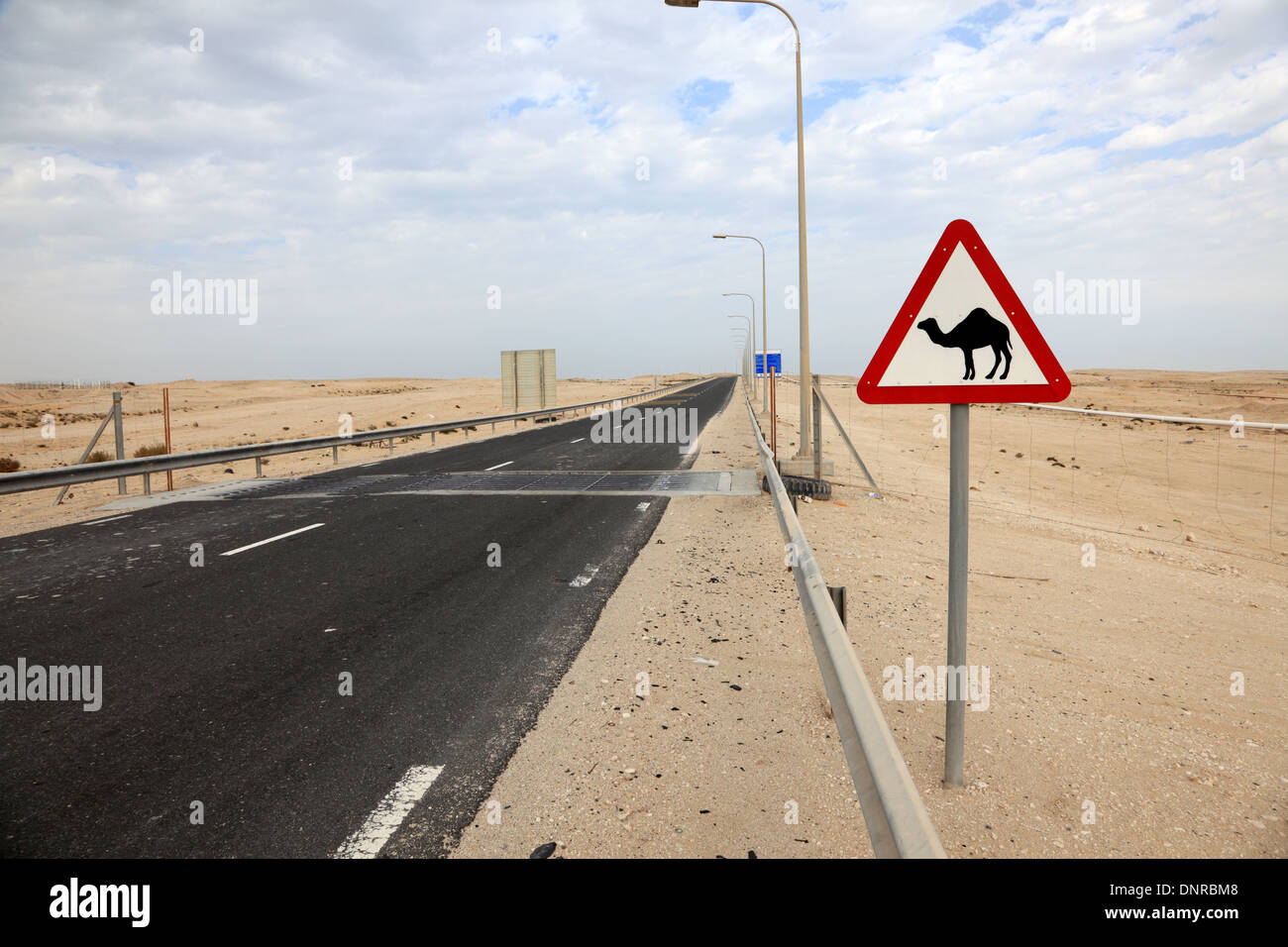 Camels crossing sign in Qatar, Middle East Stock Photo - Alamy
