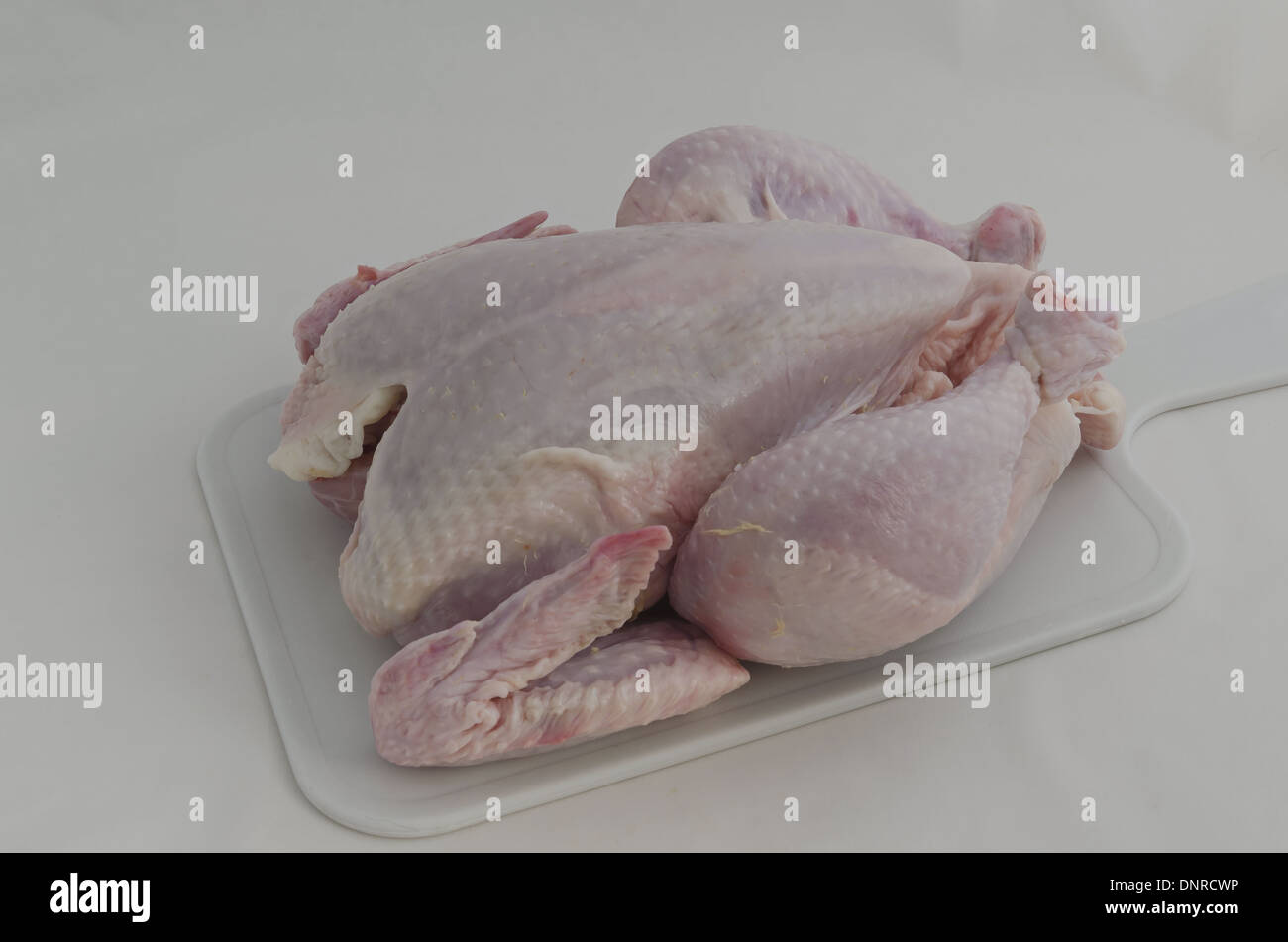 Raw fresh chicken meat hi-res stock photography and images - Alamy
