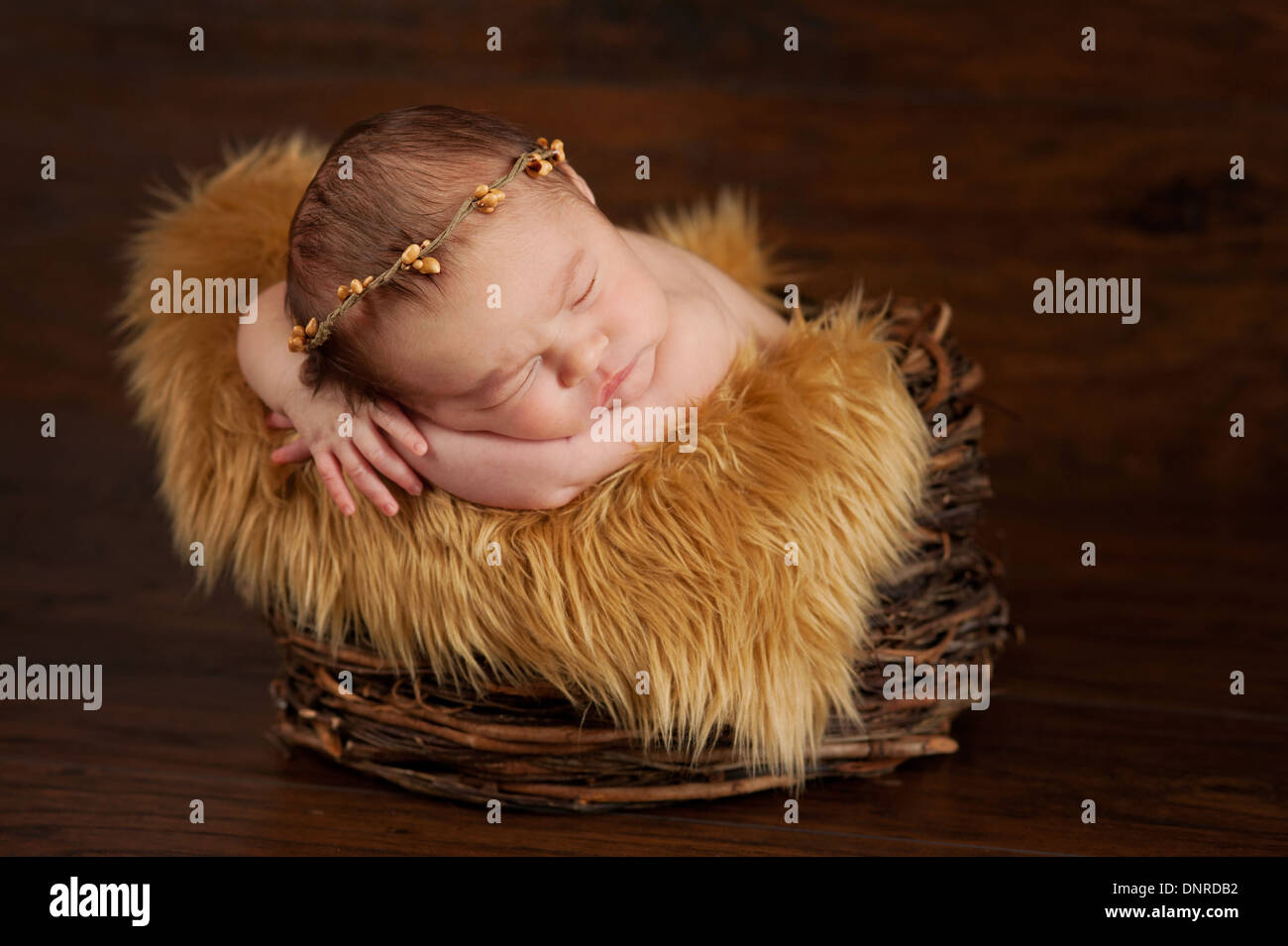 A two week old newborn baby sleeping in a twig basket and wearing a ...