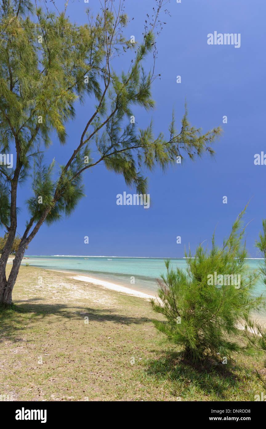 La Prairie beach, Mauritius Stock Photo - Alamy