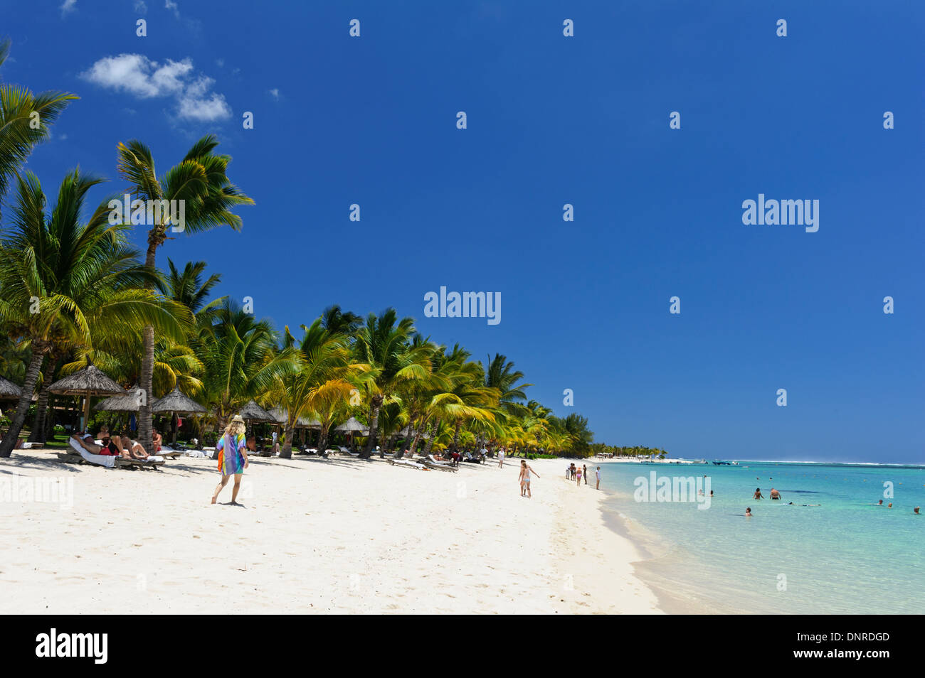 Sandy beach and coconut trees of Mauritius Stock Photo - Alamy