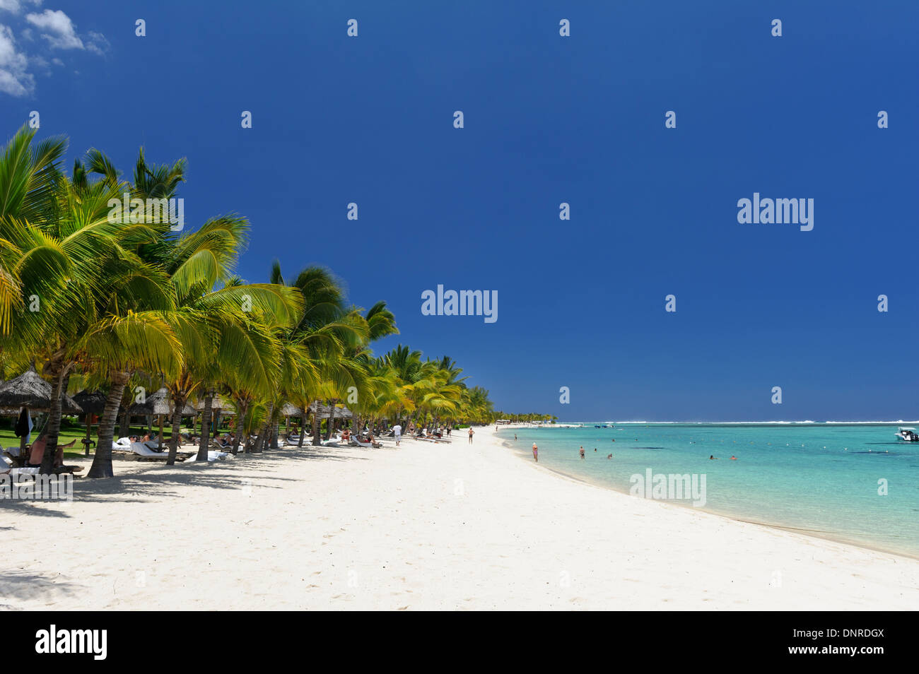 Sandy beach and coconut trees of Mauritius Stock Photo - Alamy