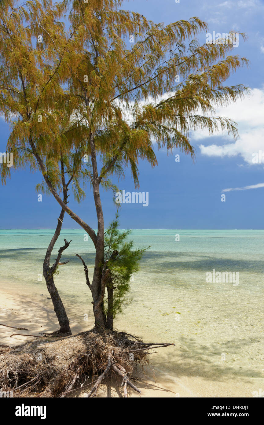 Prairie beach hi-res stock photography and images - Alamy