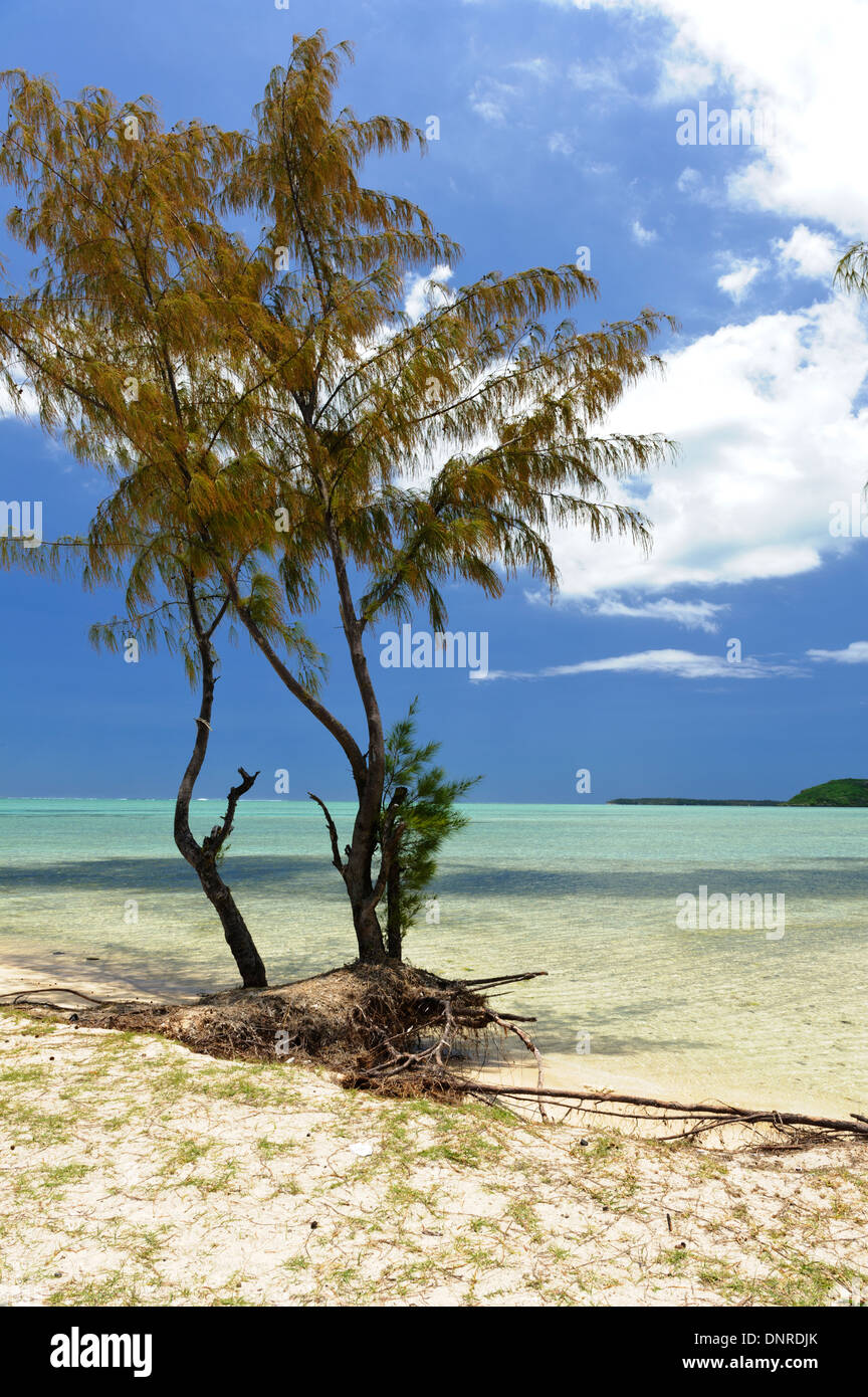 Corail La Prairie beach, Mauritius Stock Photo - Alamy