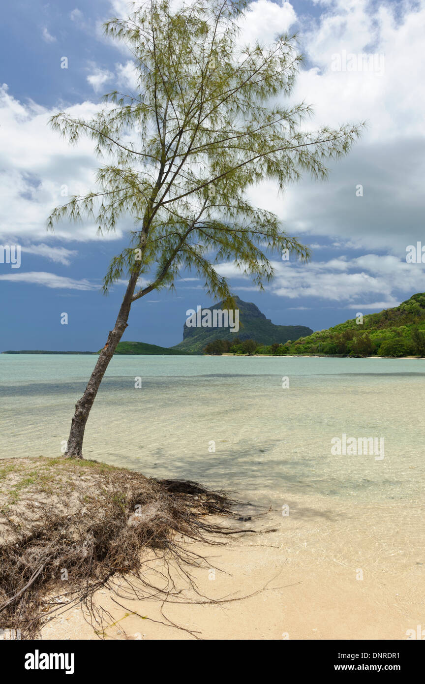 Corail la prairie beach mauritius hi-res stock photography and images ...