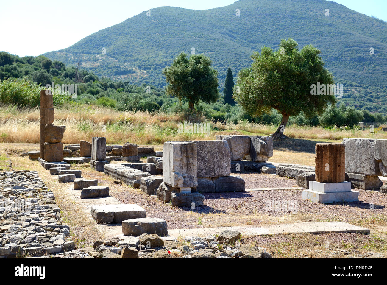 The ruins in ancient Messene (Messinia), Peloponnes, Greece Stock Photo ...