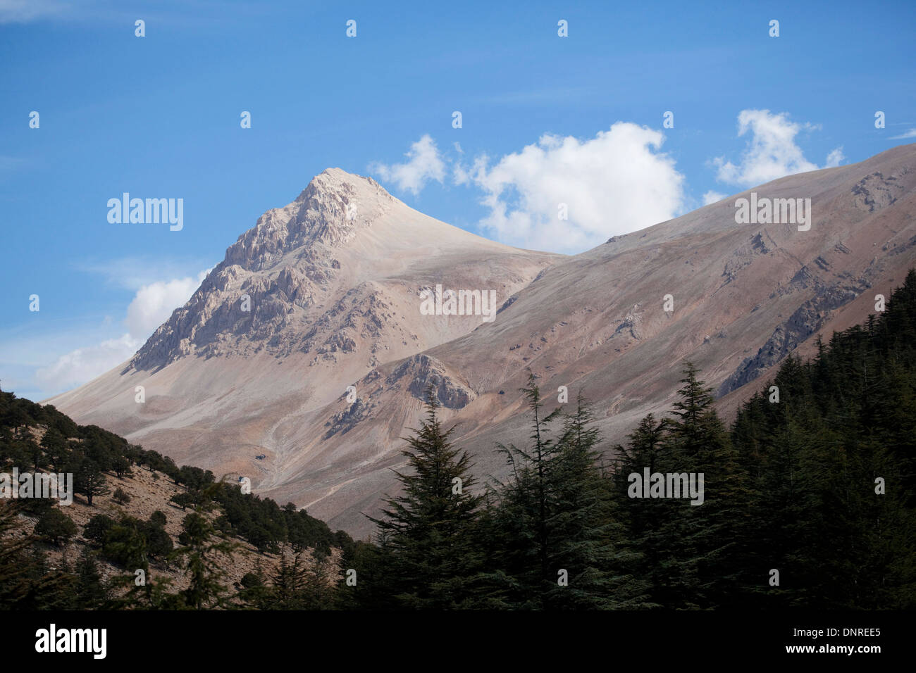 Scenic view of Taurus Range Çığlıkara Cedar Forest Nature, Protected ...