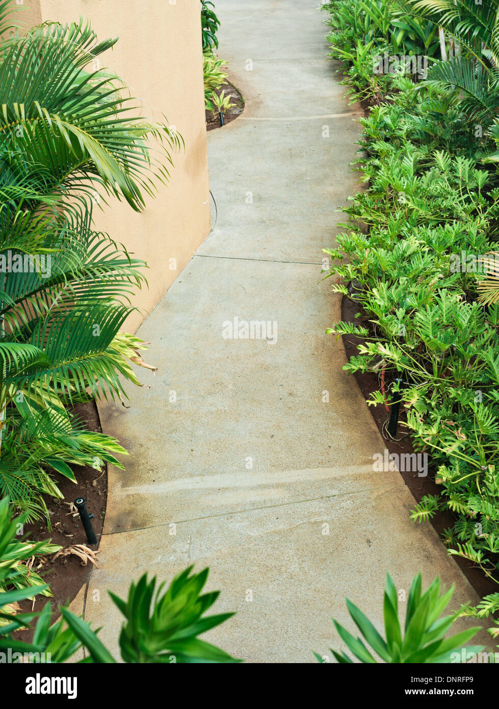 Tarmac path in garden hi-res stock photography and images - Alamy