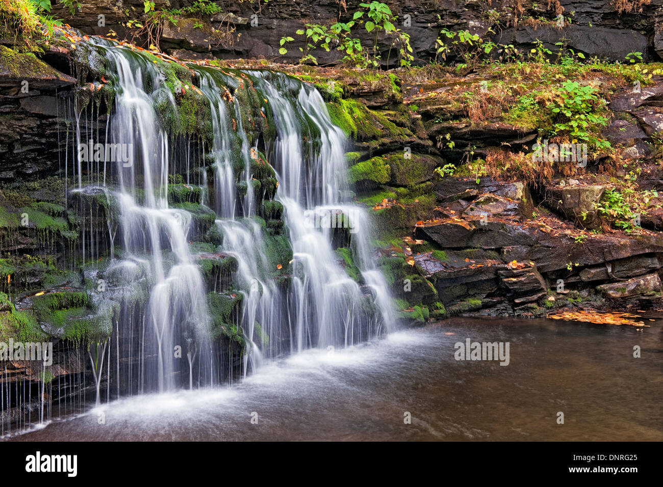 Autumn beauty of Seneca Falls in Pennsylvania's Ricketts Glen State ...