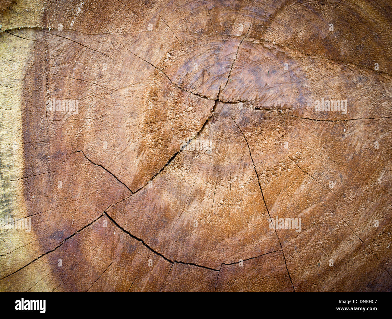 Stub structure hi-res stock photography and images - Alamy