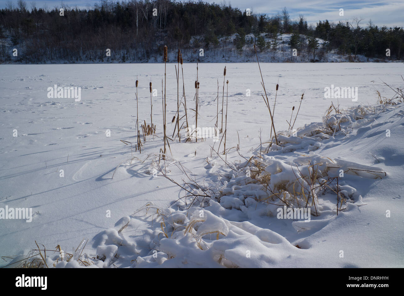 frozen lake covered by snow Stock Photo - Alamy