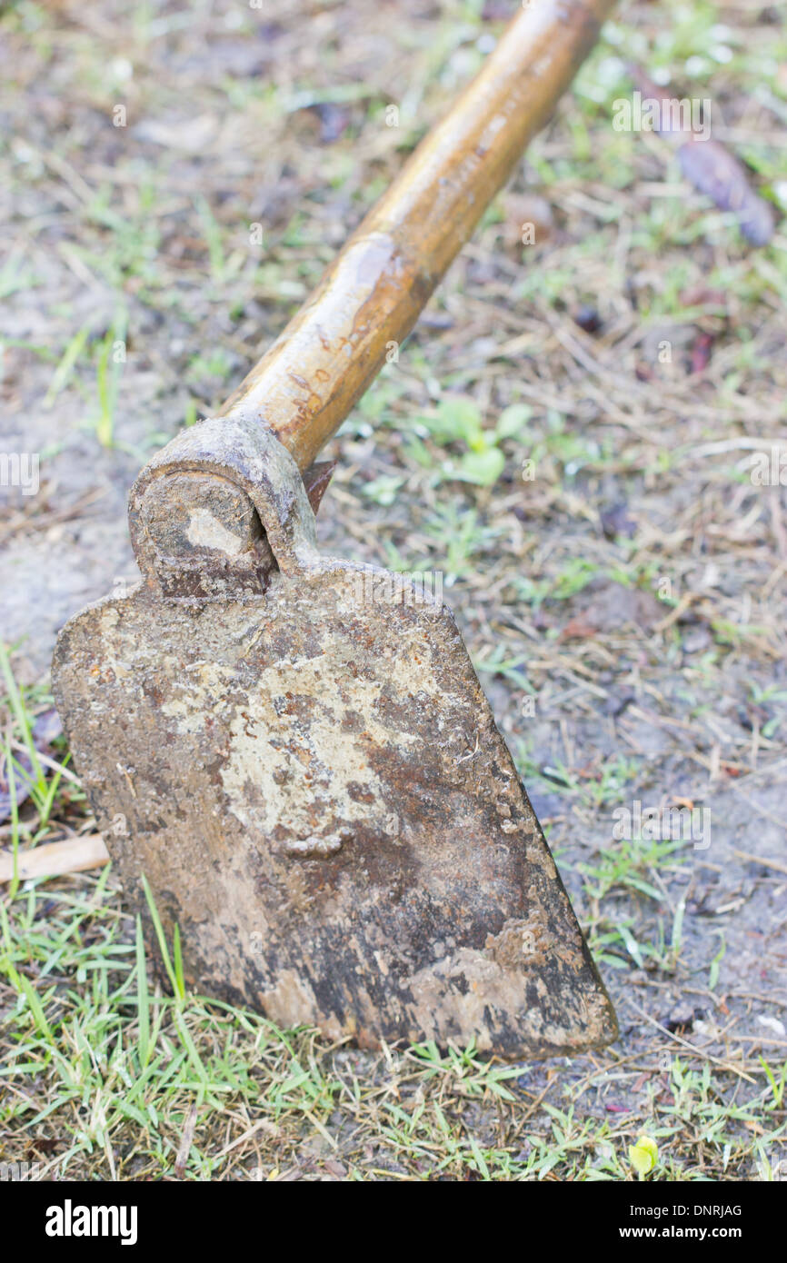 Close up of hoe Stock Photo - Alamy