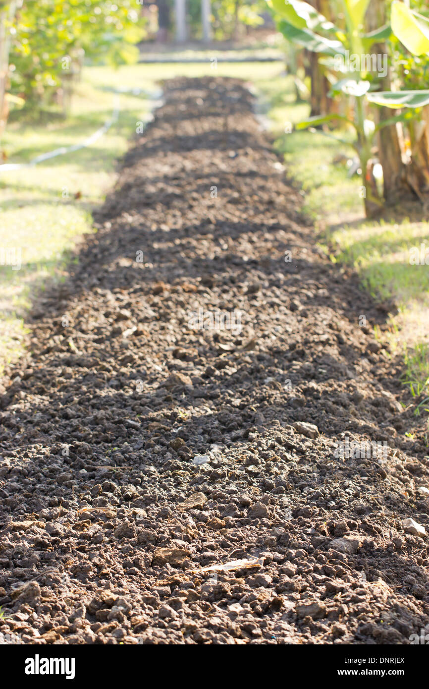 Cultivated field in the farm Stock Photo - Alamy
