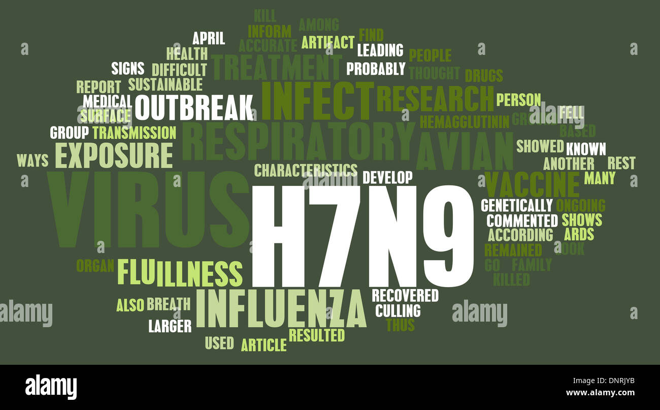 Avian influenza a h7n9 hi-res stock photography and images - Alamy